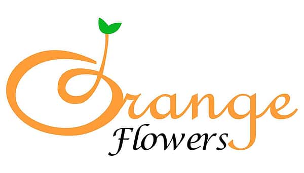 orange flower logo